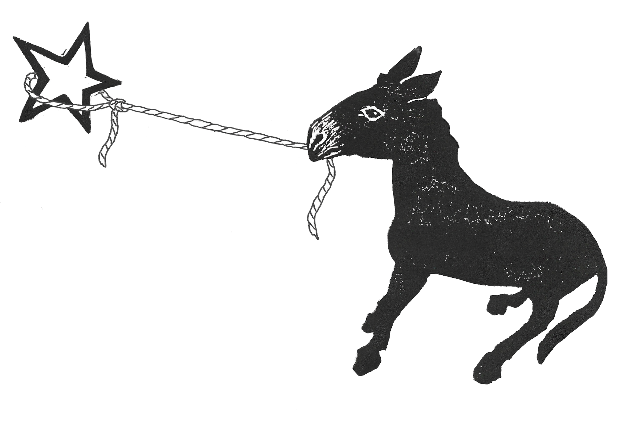 The Donkey Principle – Rachel Anne Ridge