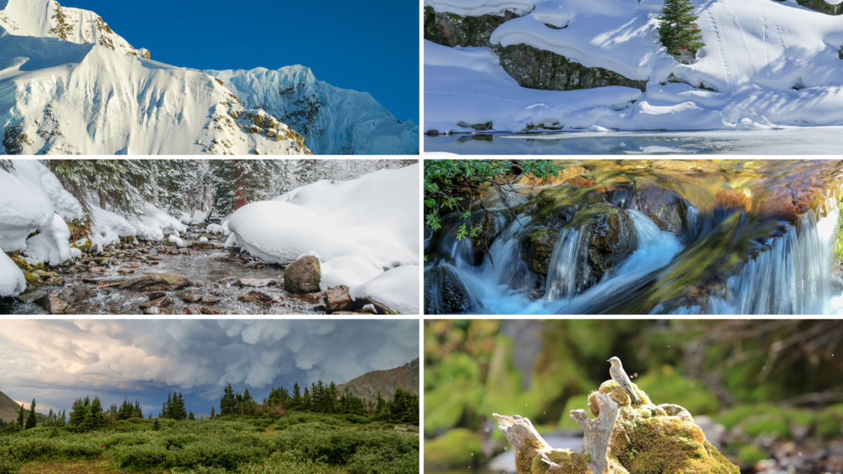 Your Mountain is Calling – Rachel Anne Ridge