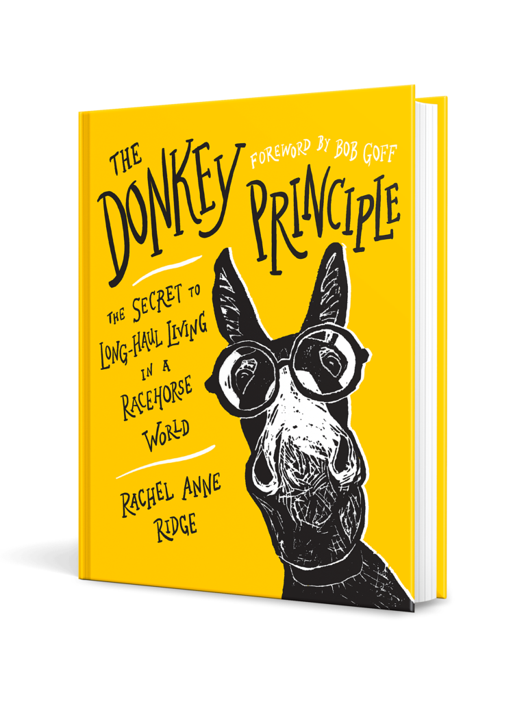 Walking with Henry Book – Rachel Anne Ridge